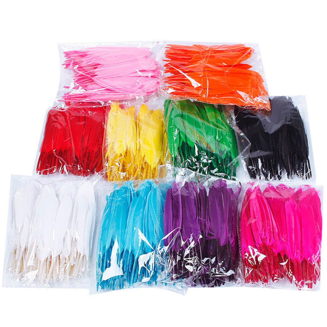 12 Colors Feather 4-6 Inch 100PCS Pack DIY Decorative Feathers Free ...