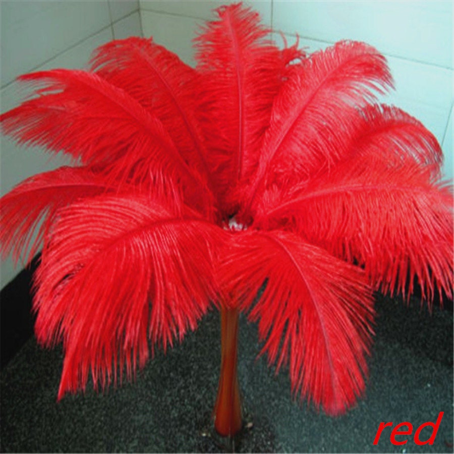 10-1000PCS Natural Red Ostrich Feather 40-45 Cm / 16 to 18 Inch Plume ...