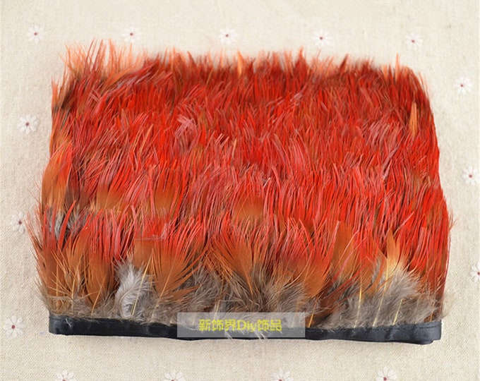 Scarlet Macaw Peyote Ceremony Feather Fan, NAC Native American Church ...