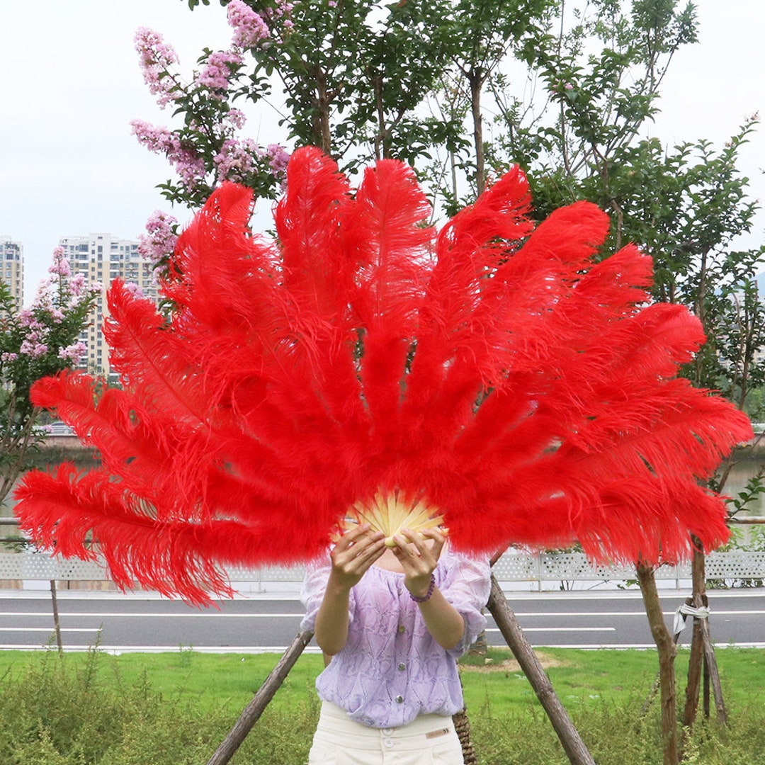 Ostrich Feather Fan Dance Shooting Photo Decoration Wedding Carnival ...