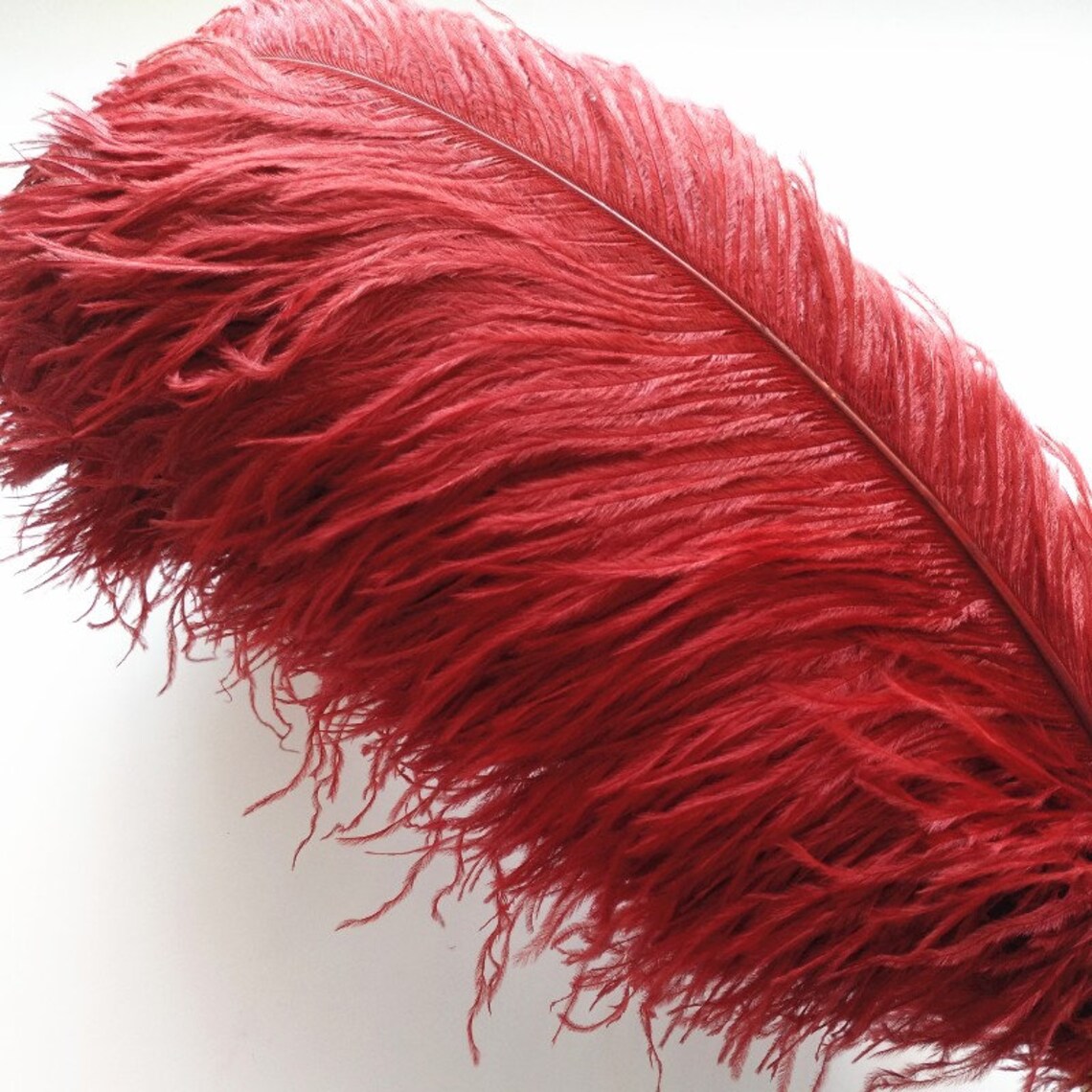 100 PCS Wine red Ostrich Feather Wedding Party Prom Charity | Etsy