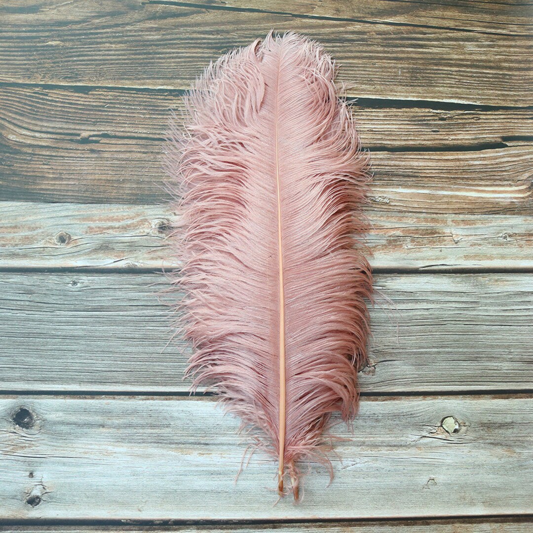50 PCS Red Bean Paste Ostrich Feather Wedding Party Prom Charity Party ...