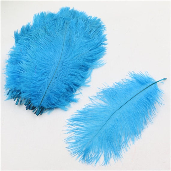 Hot Sale 50 200 Pcs Lot Light Blue Ostrich Feather 10 12 Inches 25 30cm DIY Wedding Decorations Interior Etsy