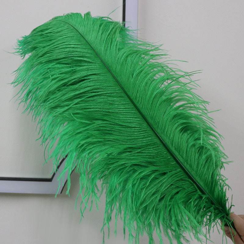 100 PCS Grass Green Ostrich Feather Wedding Party Prom Charity Party ...