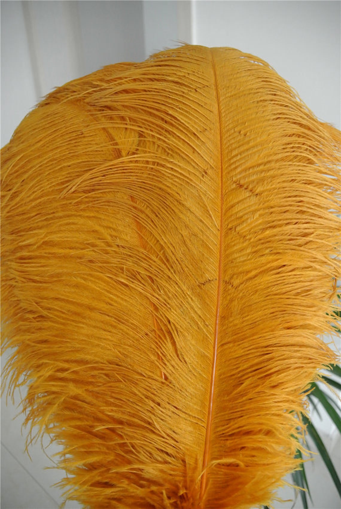 100pcs/lot 6-32inches15-80cm perfect Gold Ostrich feather | Etsy