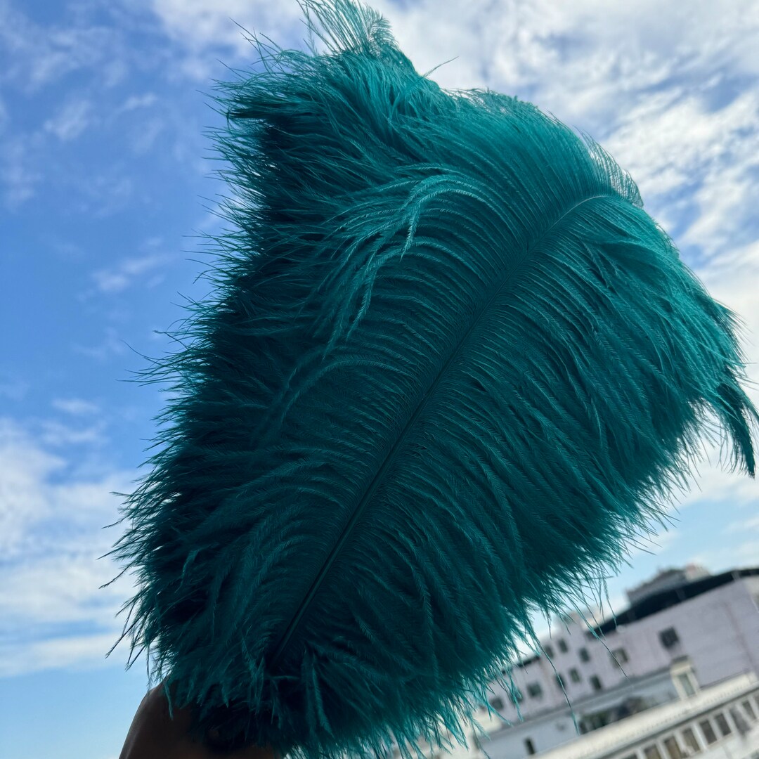 100 PCS Peacock Blue Ostrich Feather Blue-green Wedding Party Prom ...