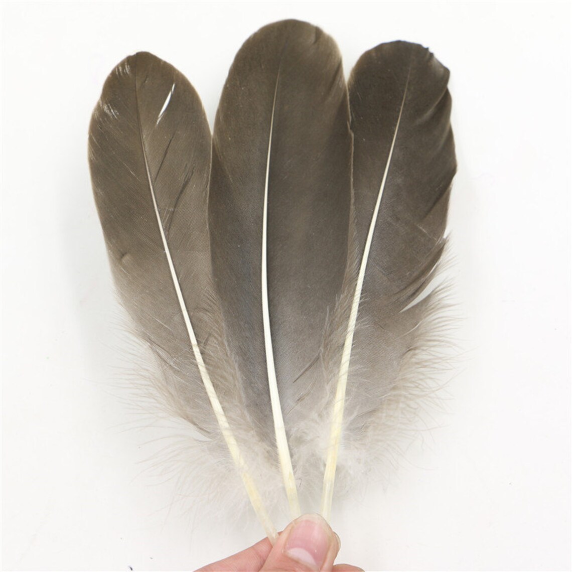 50-1000 Units / Lot DIY Clothing Accessories Goose Feathers 15-20 Cm ...