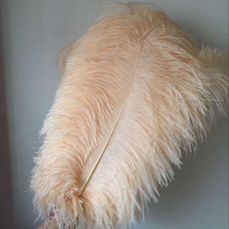 Champagne Feathers Diy - Etsy