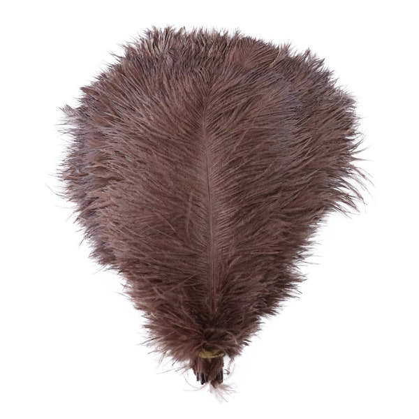 Feather Coffee - Etsy