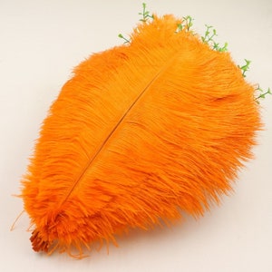 Hot! Sale 50-200 PCS / Lot Orange Ostrich Feathers 10-12 Inches / 25 ...