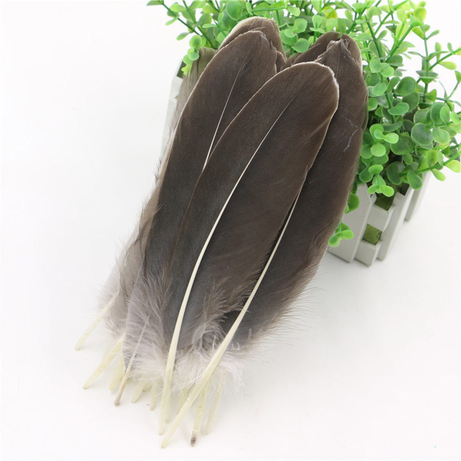 50-1000 Units / Lot DIY Clothing Accessories Goose Feathers 15-20 Cm ...