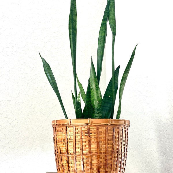 Plant Basket - Etsy