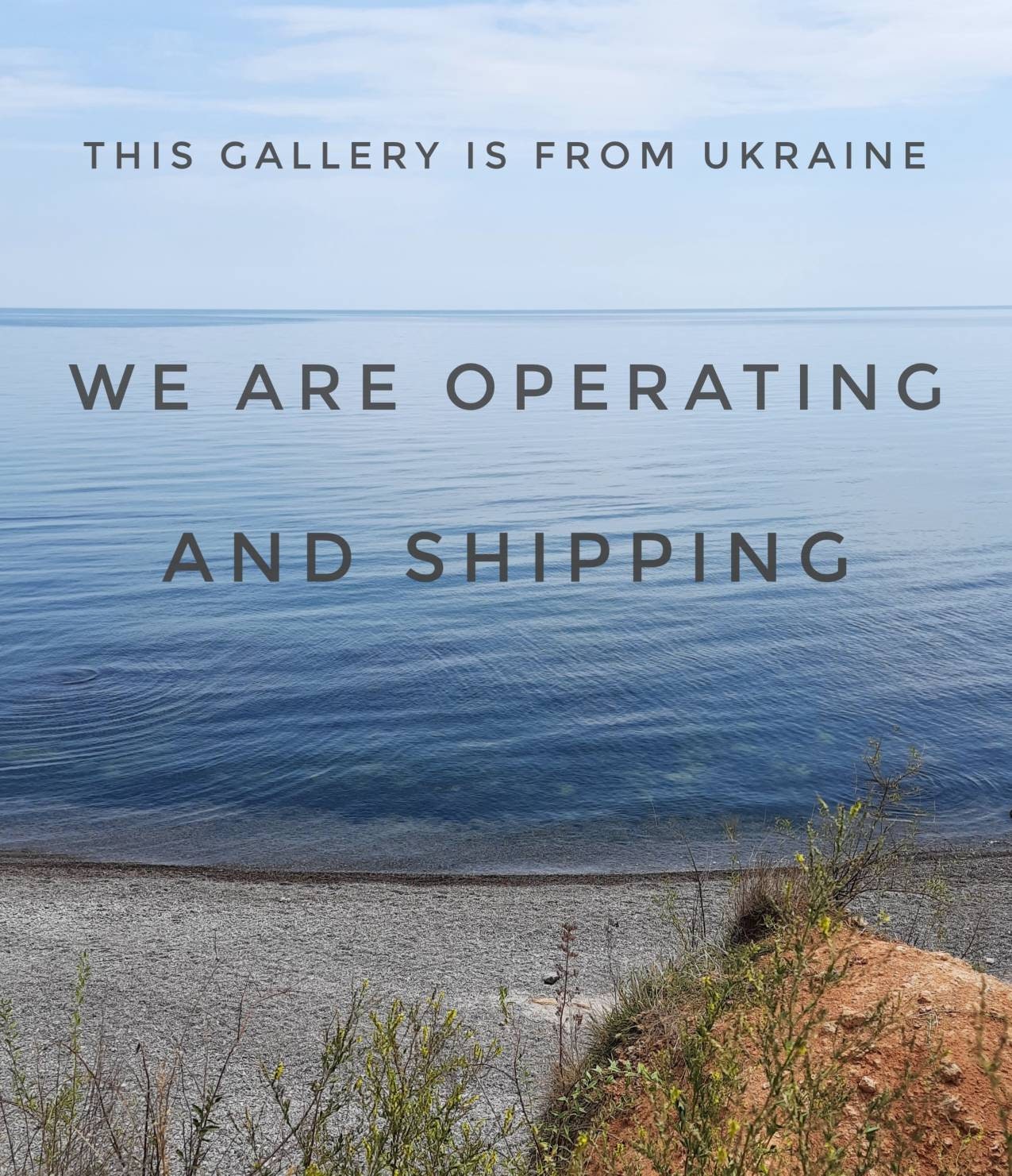 Original Ink Drawing Fairy Tale Illustration Vintage 2006 - Etsy