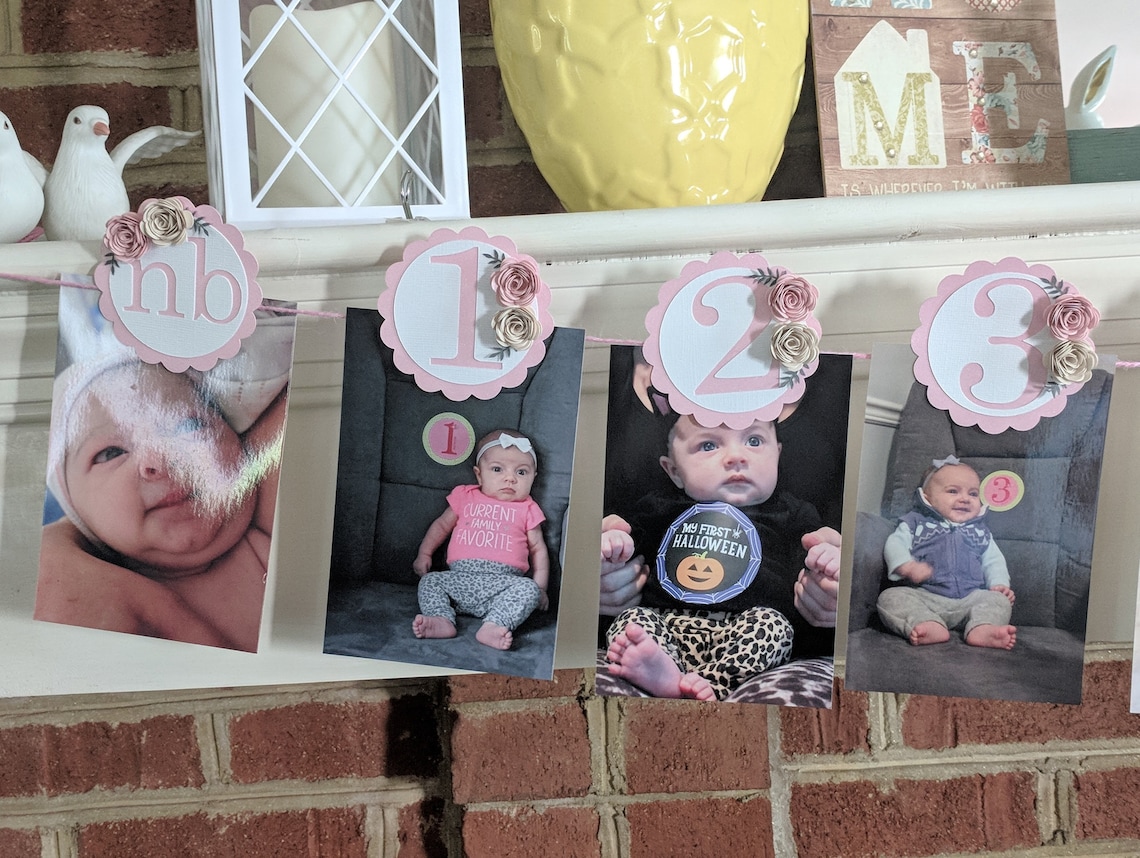 Floral Milestone Banner, Floral First Birthday, Shabby Chic 1st ...