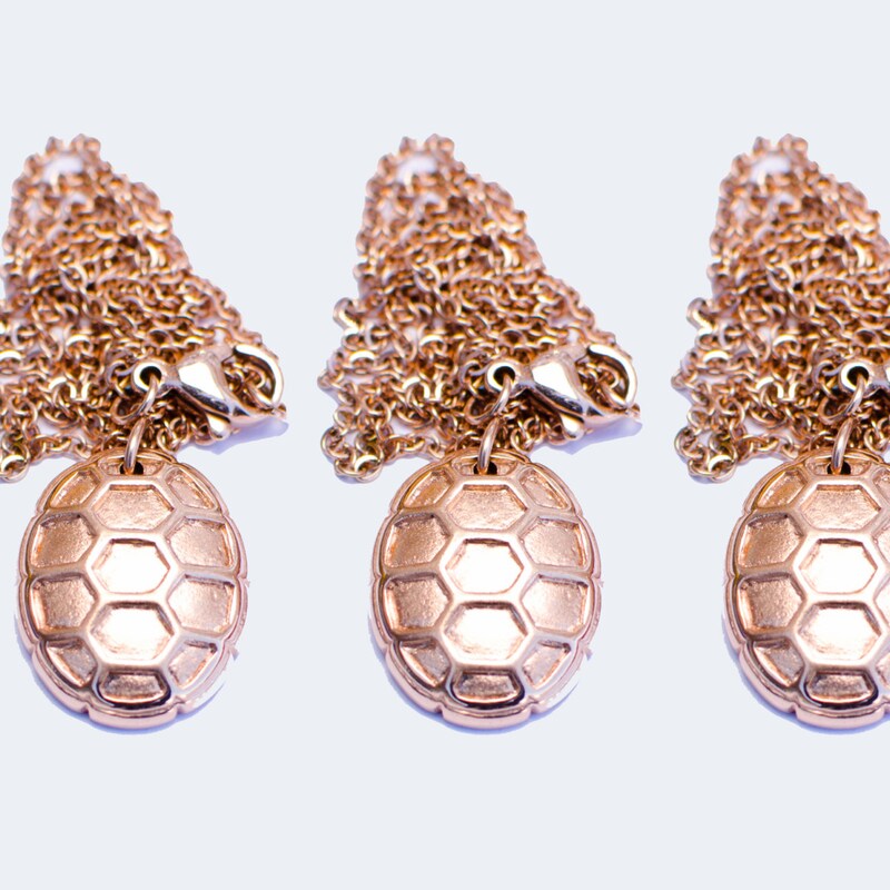 Turtle Shell - Etsy