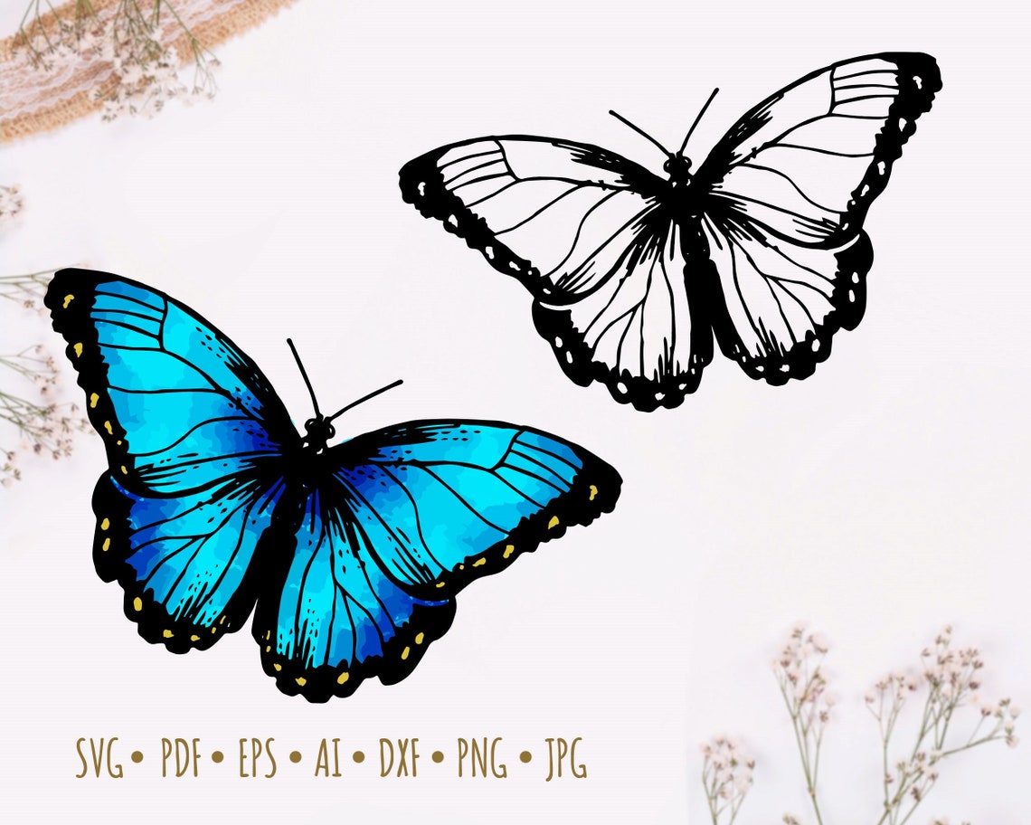 Butterfly Svg Butterfly Vector File Beautiful Butterfly Svg - Etsy