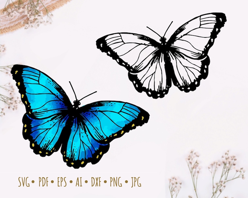 Butterfly Svg Butterfly Vector File Beautiful Butterfly Svg - Etsy