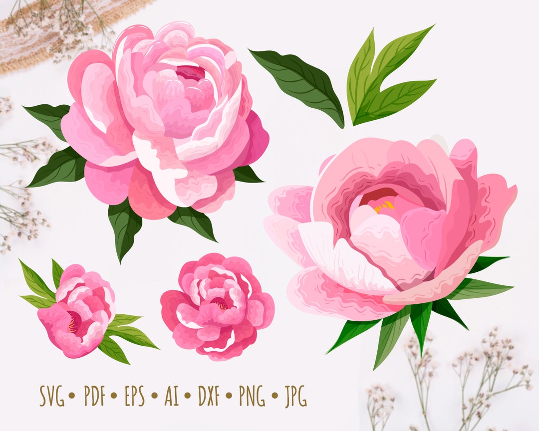 Pink Rose Floral Art SVG, Silhouette Cameo Cricut Cut File, Flower Svg ...