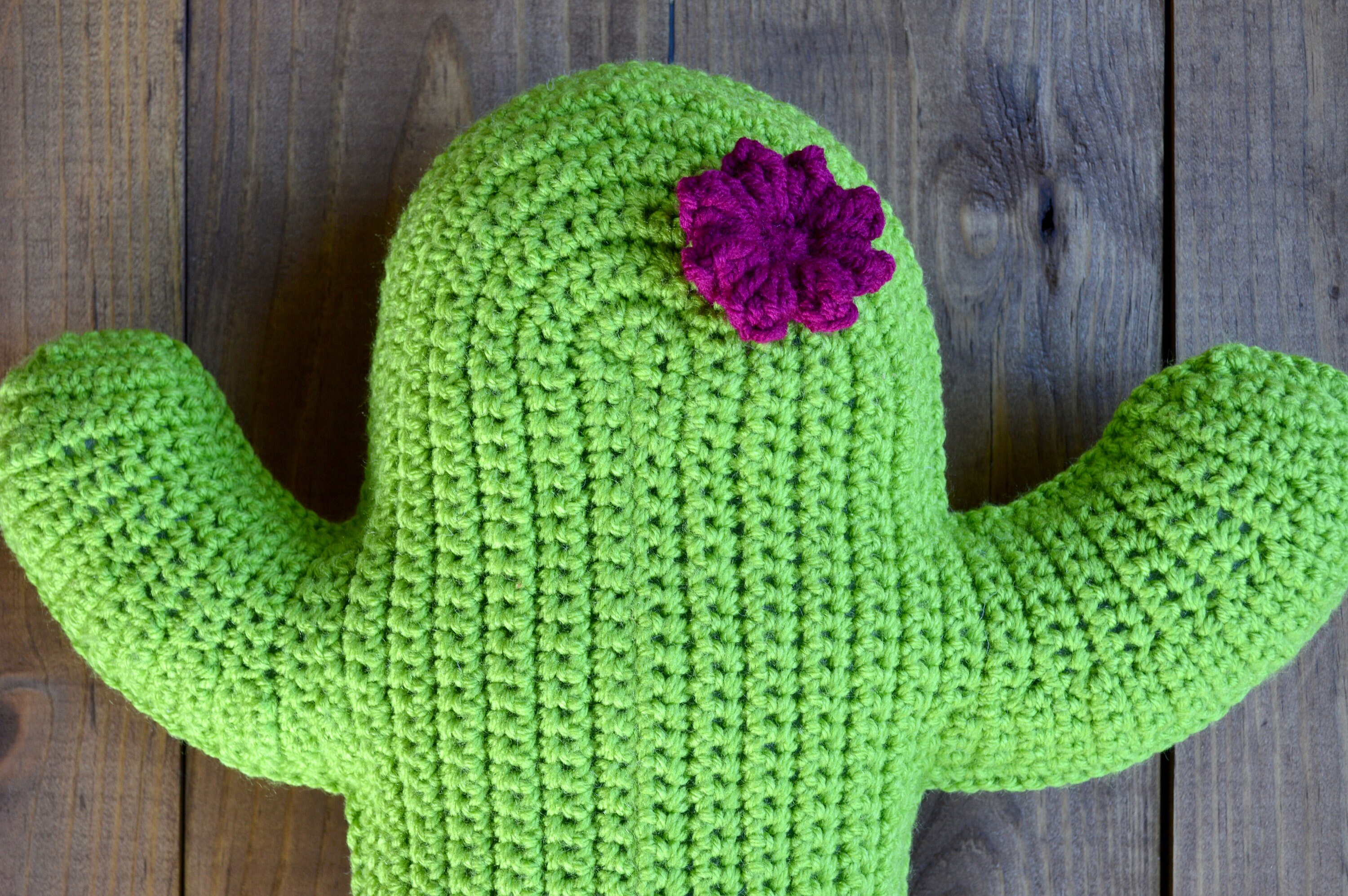 Crochet Cactus Pillow PATTERN Digital Download Cactus Pillow Pattern