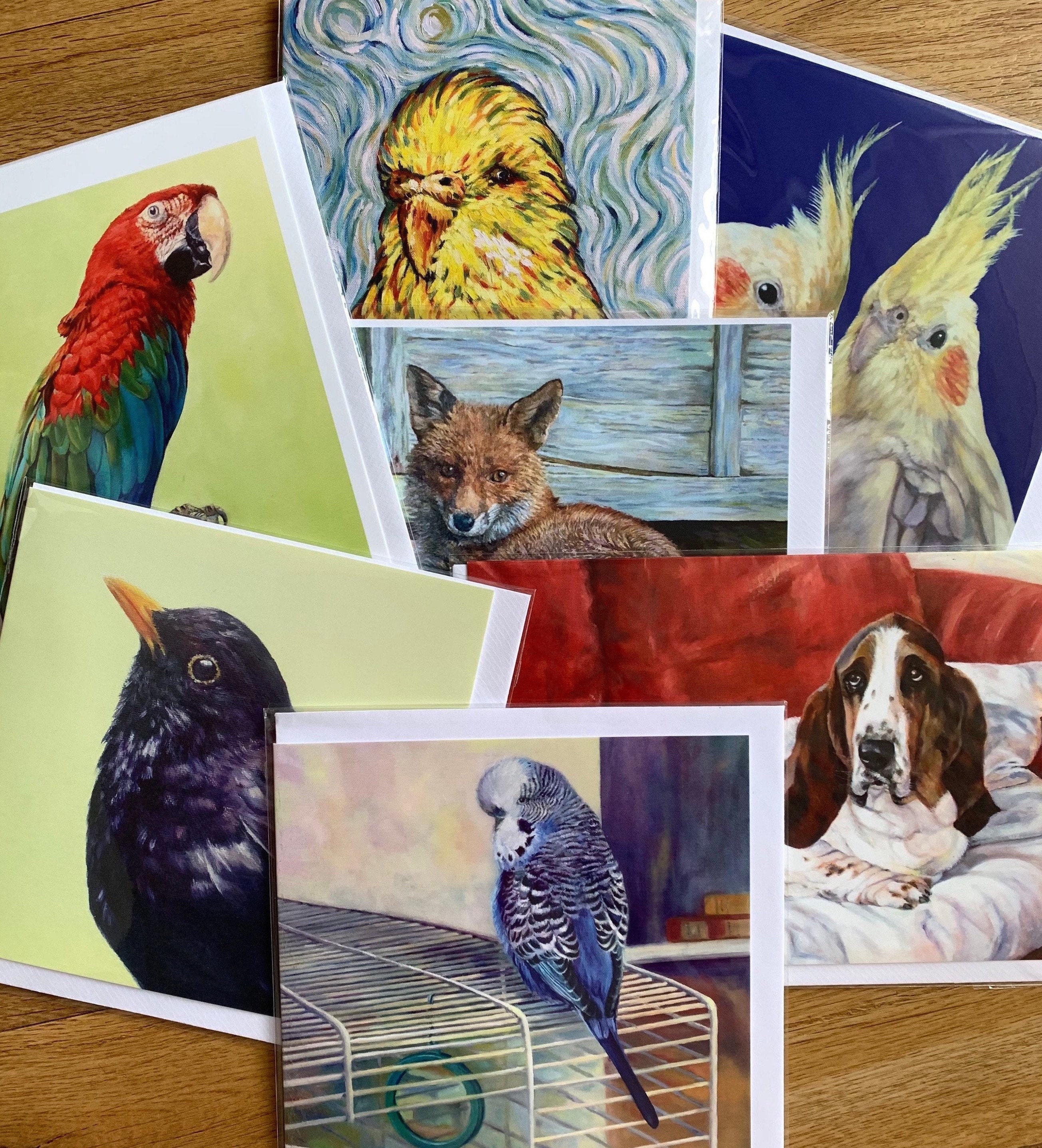 Greeting Cards Pack Bird Cards Animal Cards ANY Four SIX or - Etsy UK
