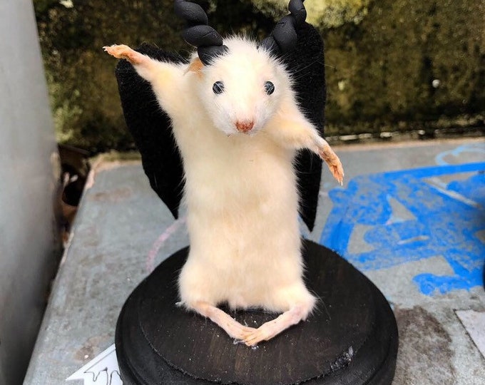 Baphomet Taxidermy Rat Mount - Etsy