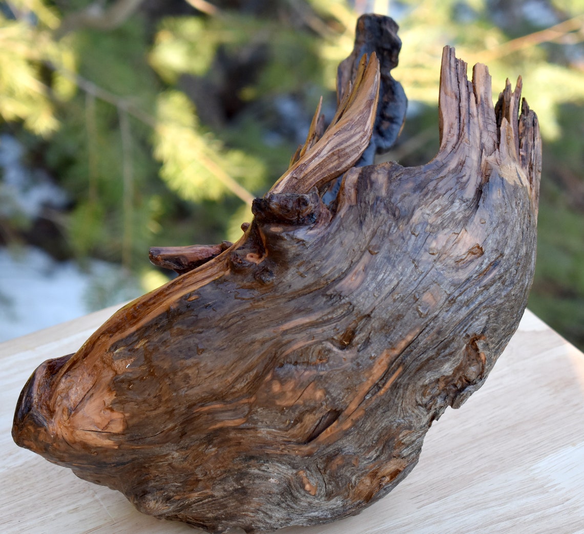 Wood Sculpture. Burl Wood. Burl Sculpture. Wood Decor. Home Decor ...