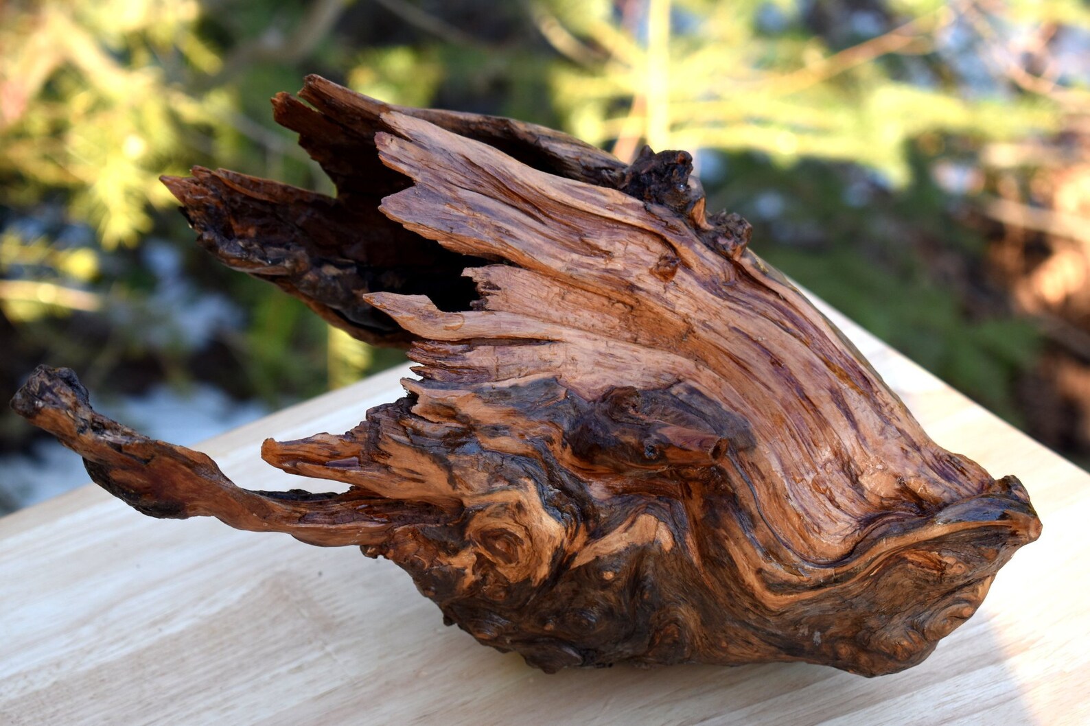 Wood Sculpture. Burl Wood. Burl Sculpture. Wood Decor. Home Decor ...