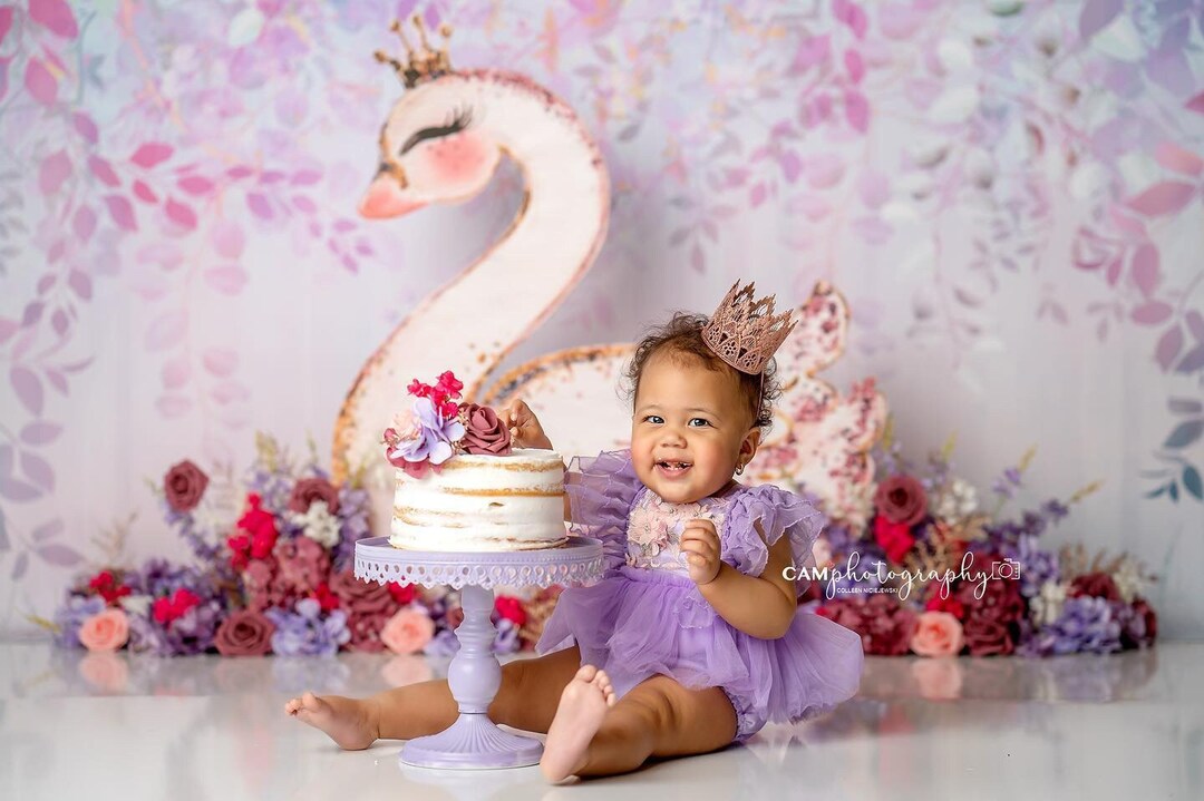 Isabela Costume, Encanto Isabela Dress, Encanto Isabela Costume Dress ...