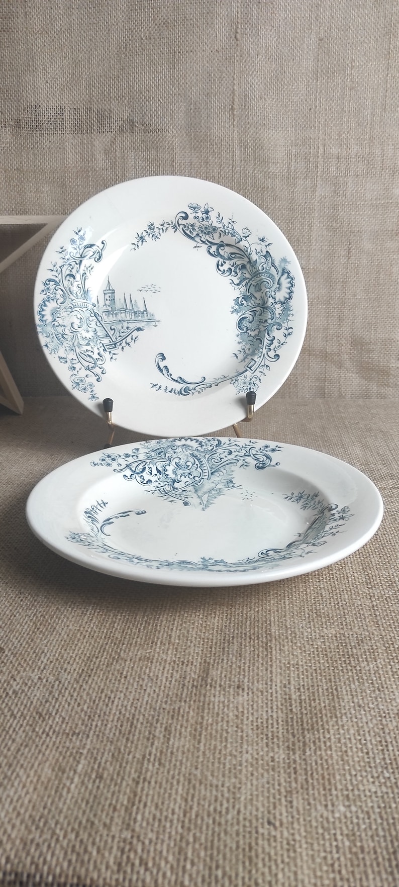 Old French Flat Plates in Iron Earth Botanical Floral Decoration Paris ...