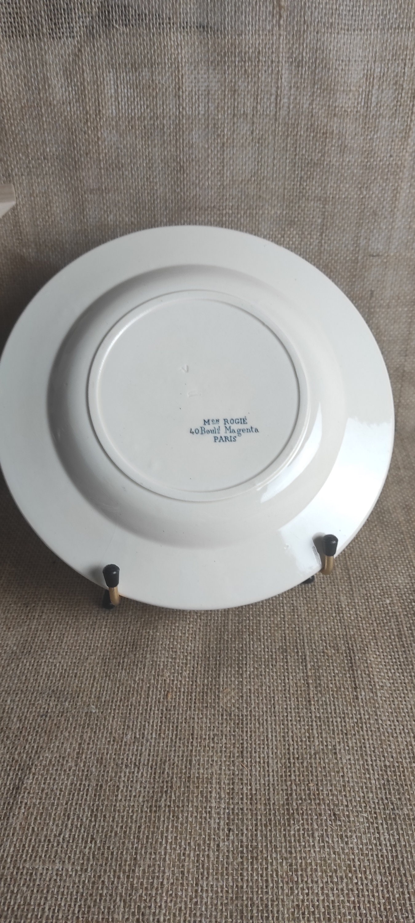 Old French Flat Plates in Iron Earth Botanical Floral Decoration Paris ...