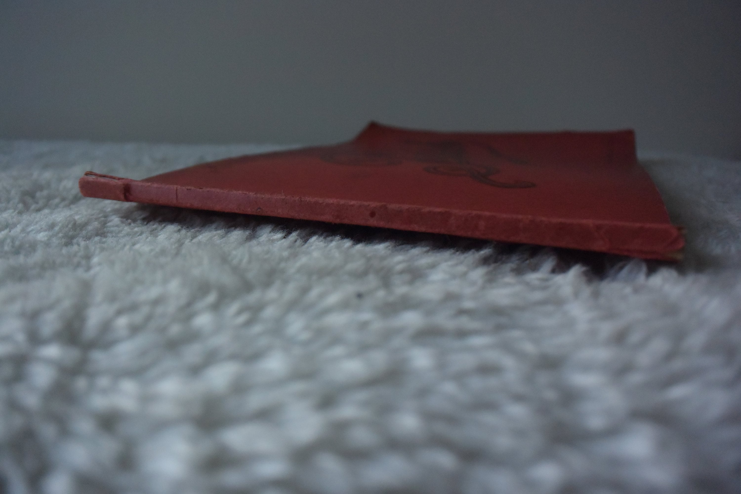 Book Album Illustration PARIS 1900 Photo Album Old Monuments - Etsy