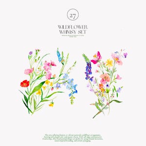 Watercolor Clipart - Png Illustration - Wildflower Bundle - Floral ...