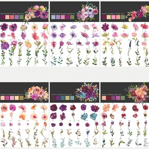 Thirty* Watercolor Floral Clipart Collections Bouquets and Separate ...