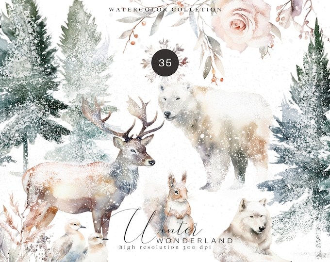 Evergreen - Winter Woodland Collection - Woodland Clipart - Winter ...