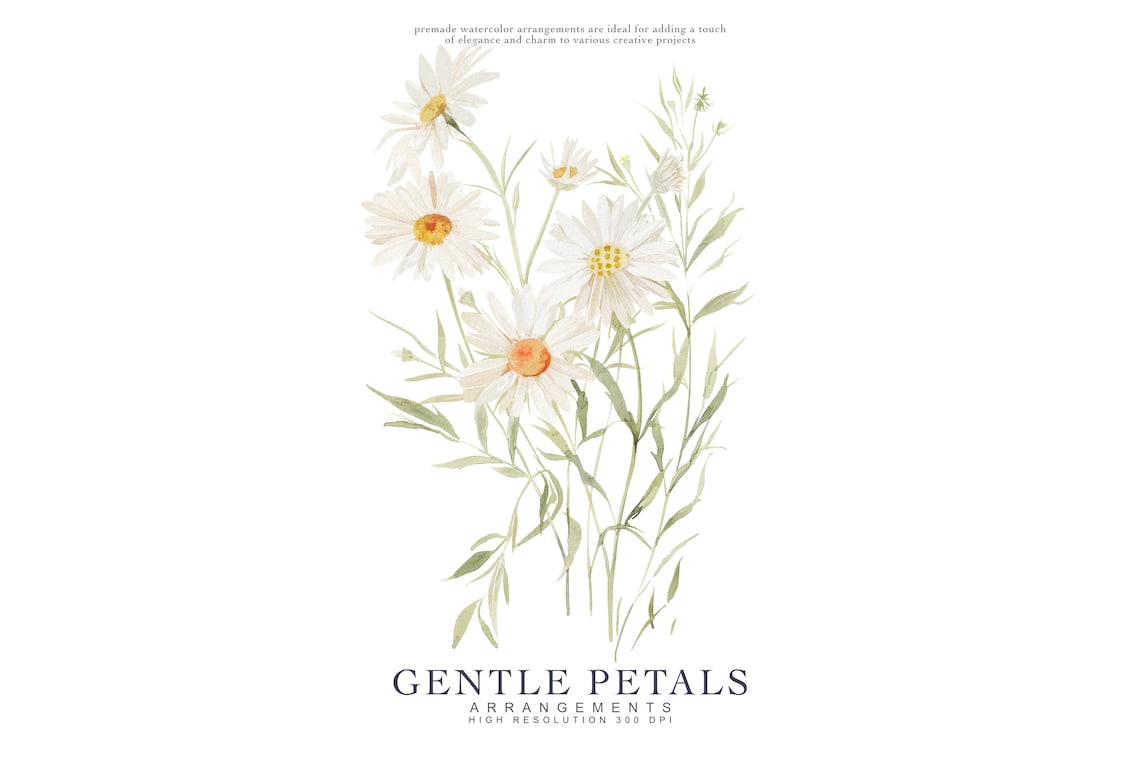 Watercolor Daisy Clipart Png, Summer Flower Bouquets, Vintage Daisies ...
