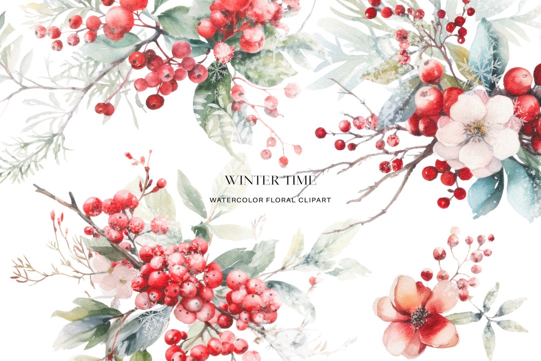 Winter Berry Clipart - Christmas Watercolor Bouquets - Christmas ...