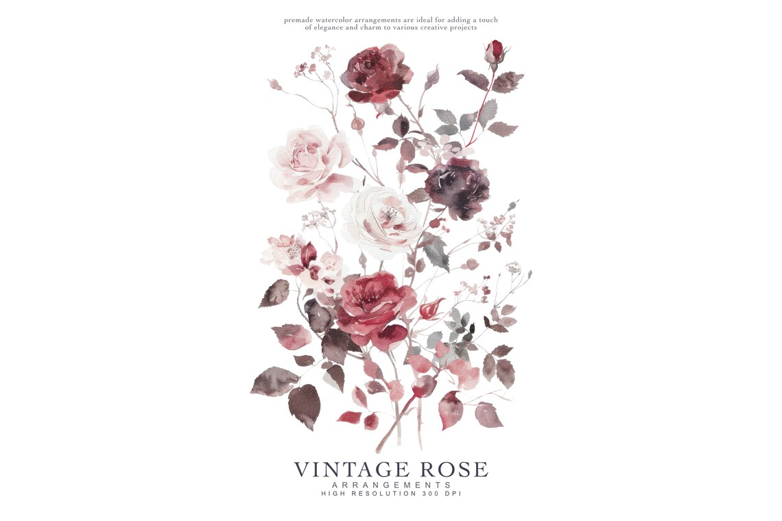 Burgundy Rose Clipart - Vintage Style - Floral Compositions ...