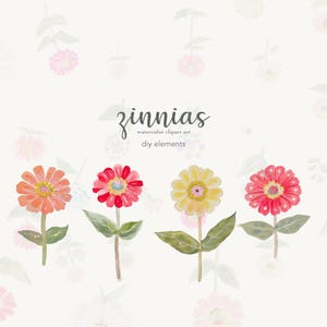 Colorful Zinnias - Watercolor Flowers - Floral Designs - Zinnia Clipart ...