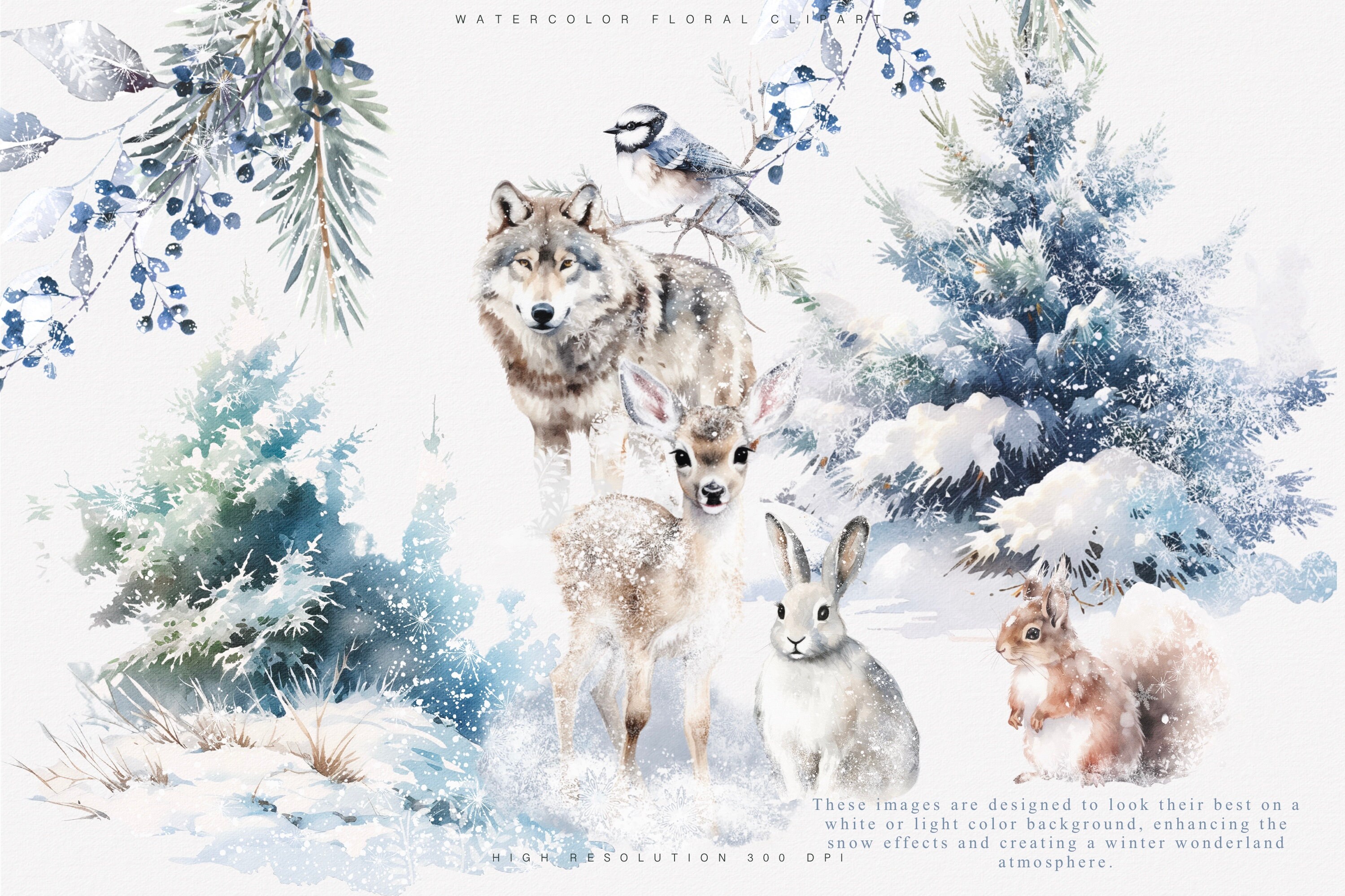 Winter Animals Clipart - Holiday Png - Winter Clipart- Woodland Clipart ...
