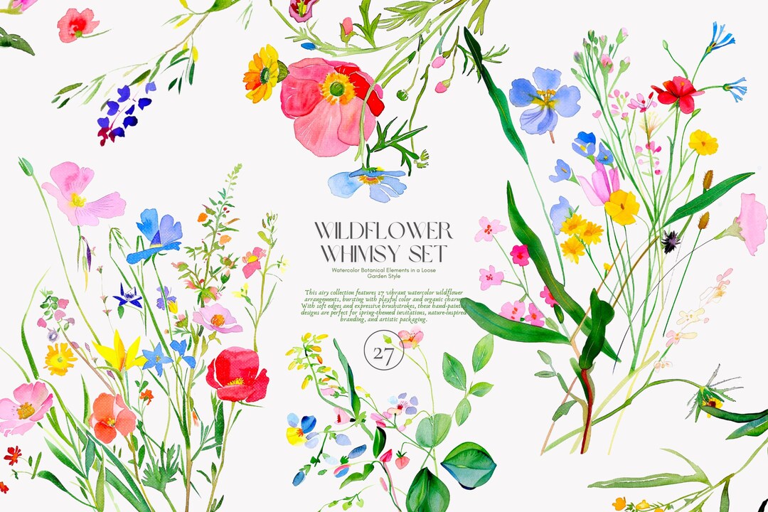Watercolor Clipart - Png Illustration - Wildflower Bundle - Floral ...