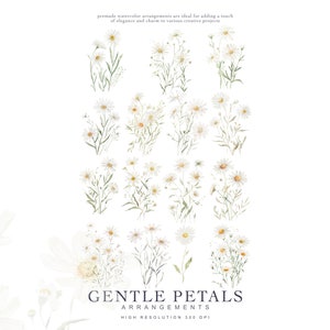 Watercolor Daisy Clipart Png, Summer Flower Bouquets, Vintage Daisies ...