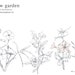 Meadow Garden Pencil Sketched Flowers Clipart Fine Line - Etsy