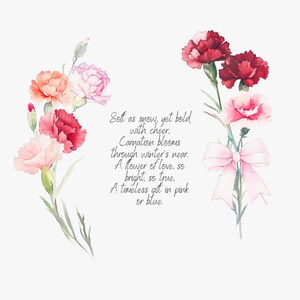Carnation Clipart Png, Watercolor Red Pink Flowers, Floral Bouquet ...