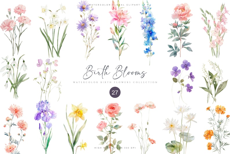 Watercolor Birth Flowers Clipart Png, Pink Rose Daisy Iris Aster Floral ...