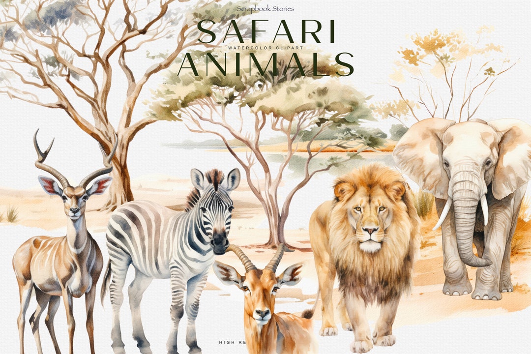 Watercolor Safari Animals Clipart - Watercolor Clipart - Safari Clipart ...