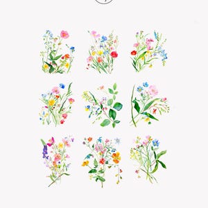 Watercolor Clipart - Png Illustration - Wildflower Bundle - Floral ...