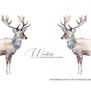 Evergreen Clipart - Watercolor Christmas - Winter Woodland Set ...