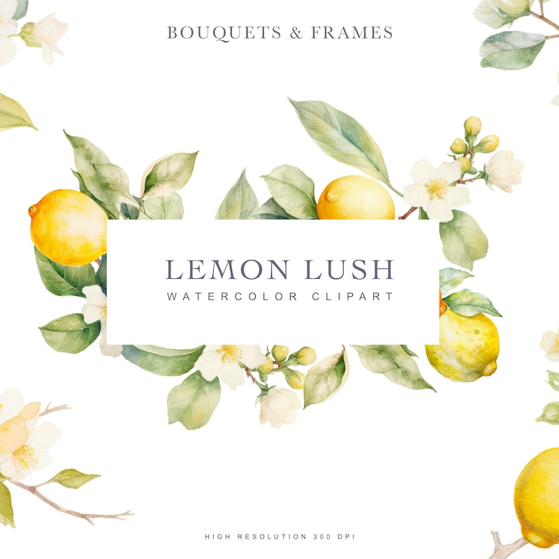 Floral Frames Color - Etsy