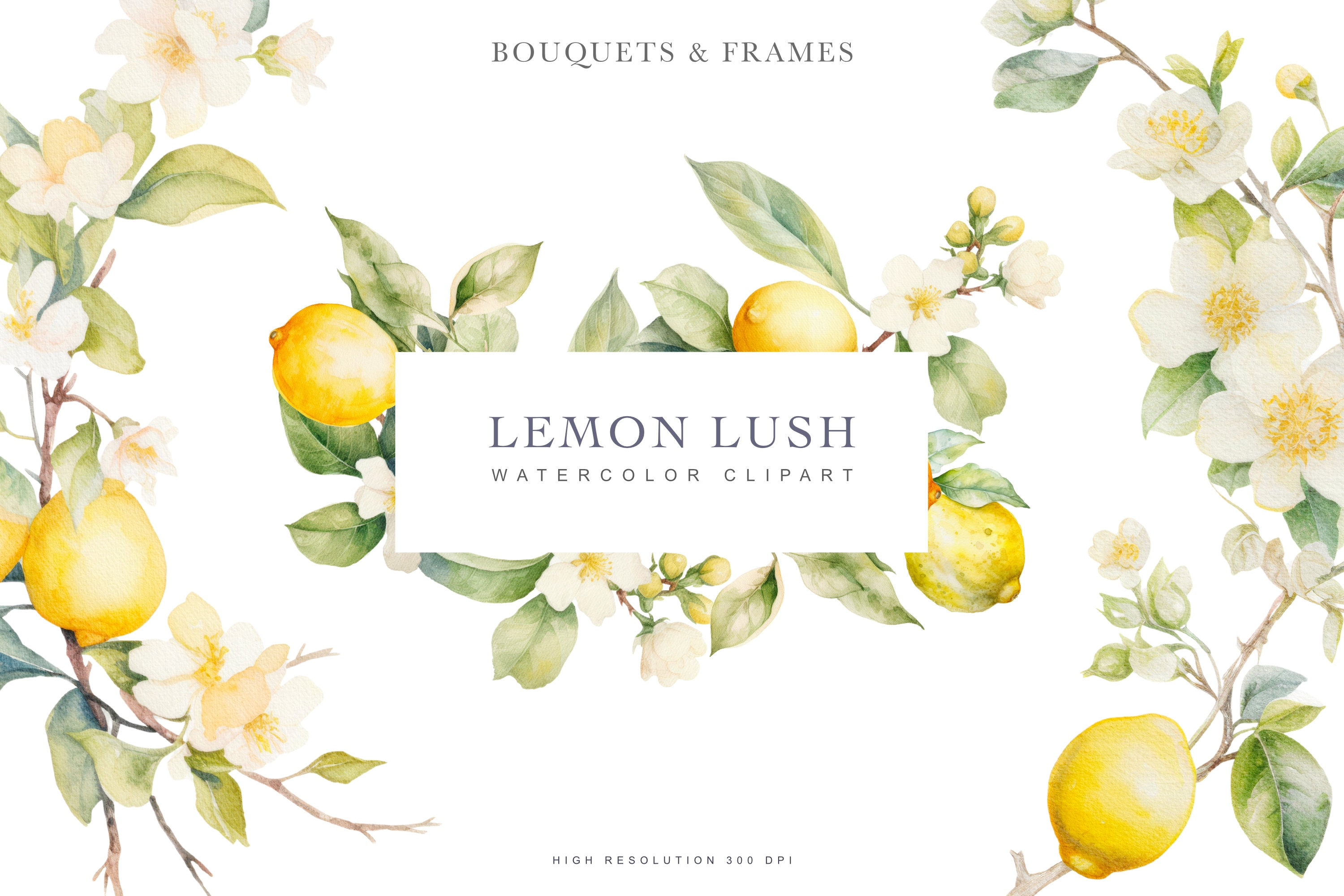 Watercolor Lemon Clipart Png, Lemon Bouquet Twig and Floral Wreath ...