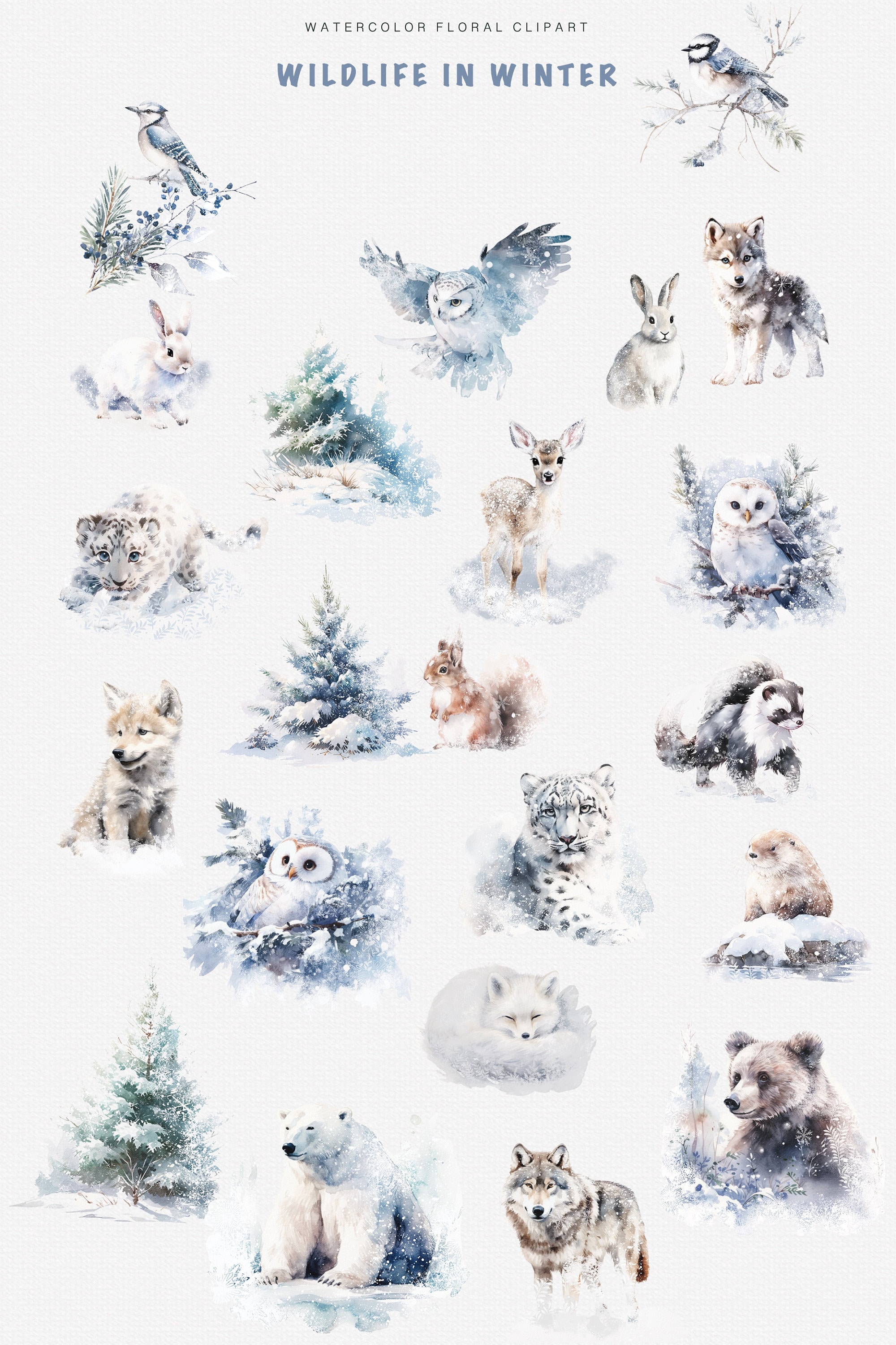 Winter Animals Clipart - Holiday Png - Winter Clipart- Woodland Clipart ...